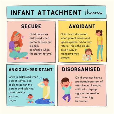 Image result for Attachment Behavior