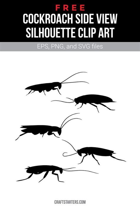 Image result for Cockroach Side View