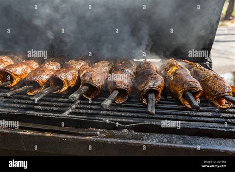 Image result for Cook Snakehead Fish