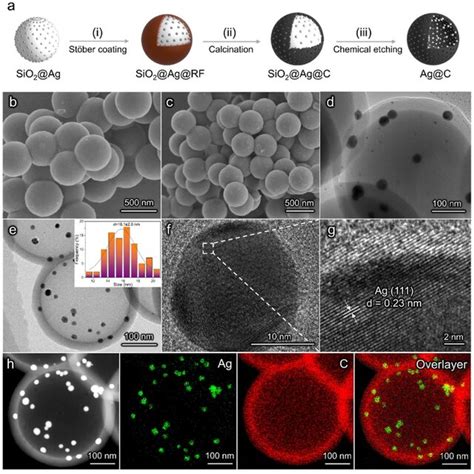 Image result for Morphological Synthesis Example