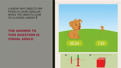 Image result for Angular Magnification
