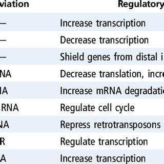 Image result for Distal Control Elements