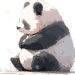 Image result for Free FA Xing From Computer