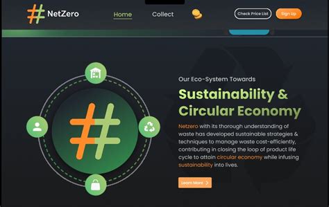 Image result for What Is NetZero