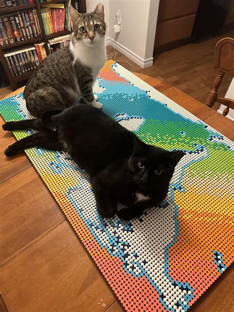 Image result for LEGO Minecraft World Map