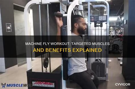 Image result for Machine Fly Workout