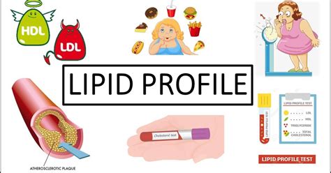 Image result for Lipid Profile Testing