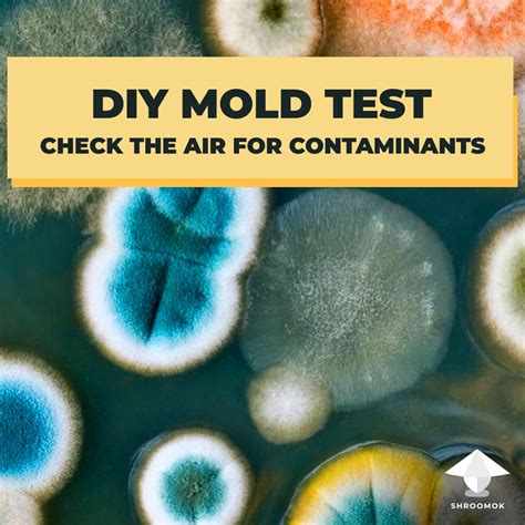 Image result for Mold Air Sampling Plating