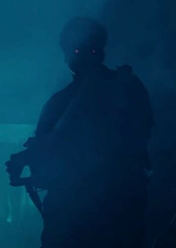 Image result for Terminator Ffuture