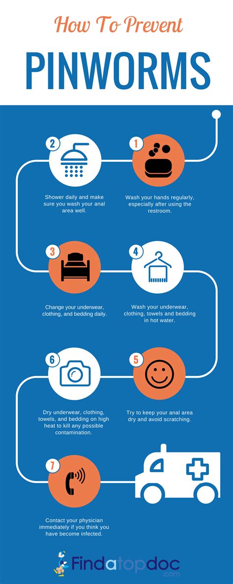 Image result for What Is Pinworm