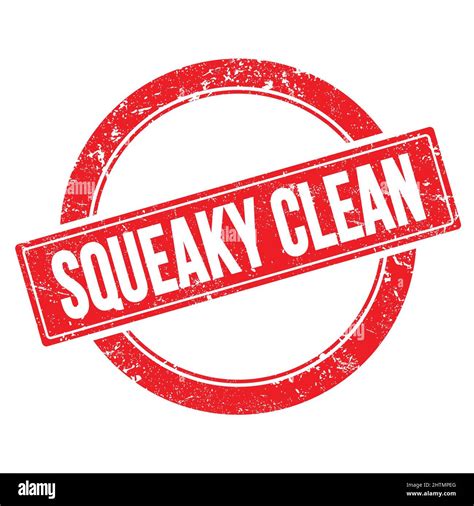 Image result for Squeaky-Clean Word Art