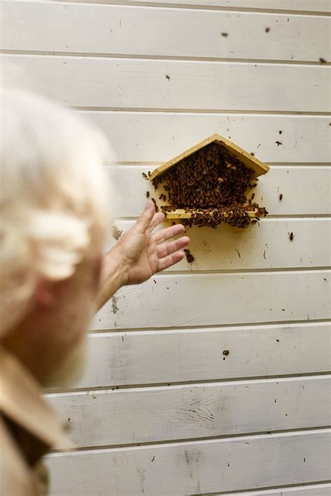 Image result for Pyle Hom