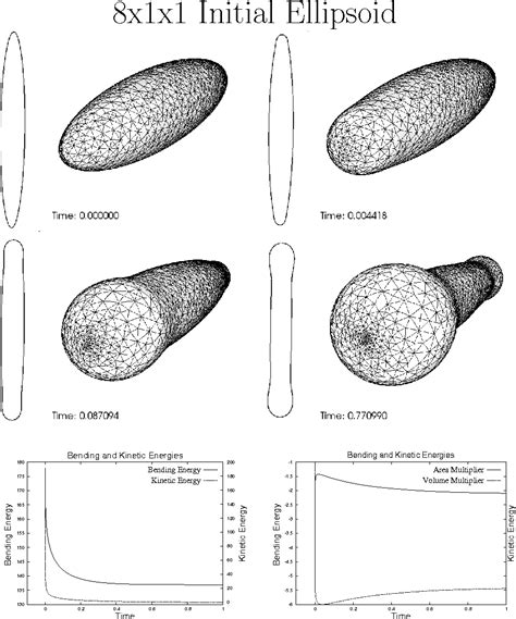 Image result for Implicit Euler Method