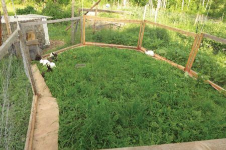 Image result for Rabbit Tractor Design