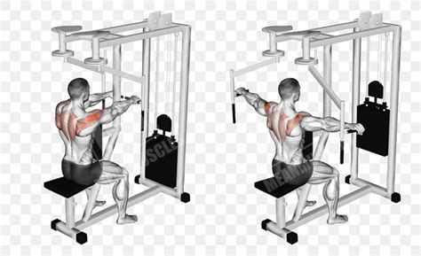 Image result for Machine Fly Workout
