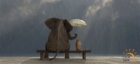 Image result for Examples of Depression