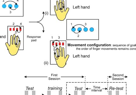 Image result for Sequential Learning Modules