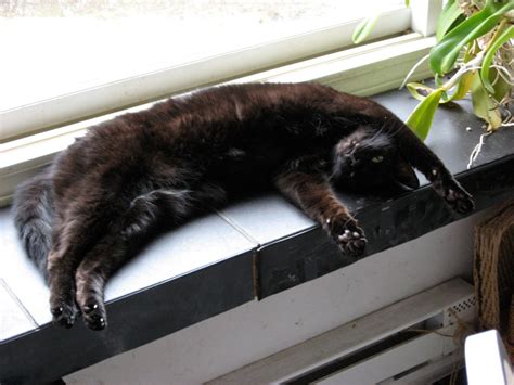 Image result for How to Build an Infinity Coil