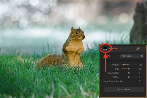 Image result for Luminar Tutorials Masks