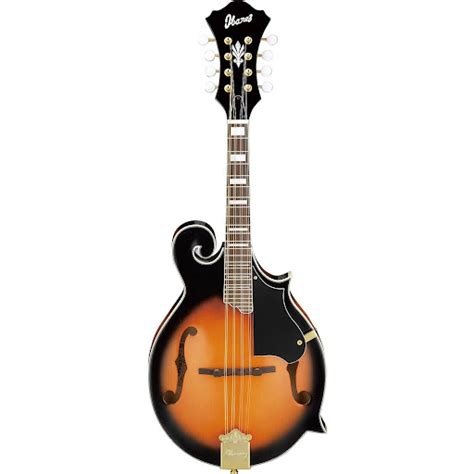Image result for 6 String Mandolin