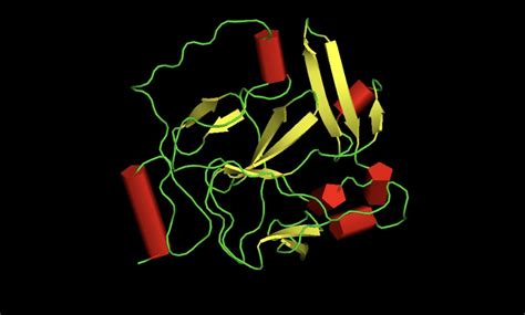 Image result for Machine Learning Protein Folding