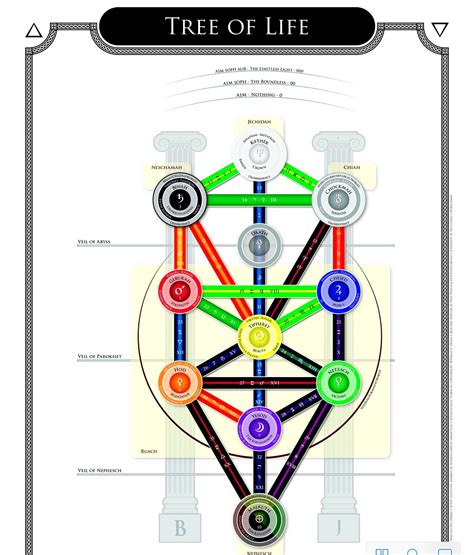 Image result for Life Path Tree