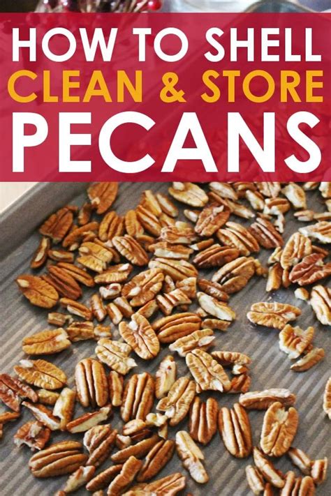 Image result for How to Store Pecans