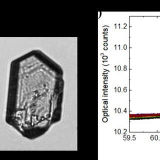 Image result for Crystal Optical Microscope