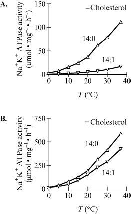 Image result for MCAT Genetics Questions