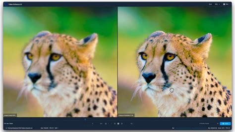Image result for Topaz Video Enhance AI Tutorial