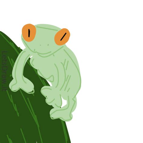 Image result for How to Draw a Tree Frog