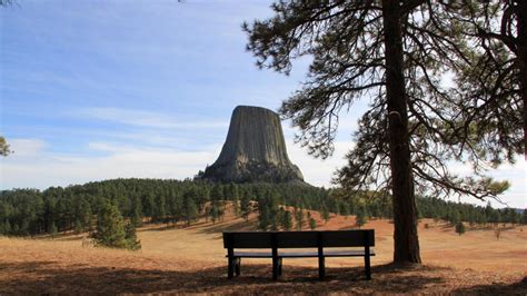 Image result for Is Devils Tower a Tree