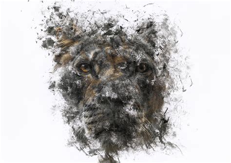 Image result for Creative Portrait Ink