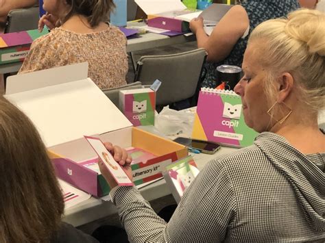 Image result for Professional Learning Examples