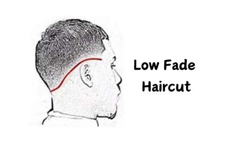 Image result for Ladybug Fade