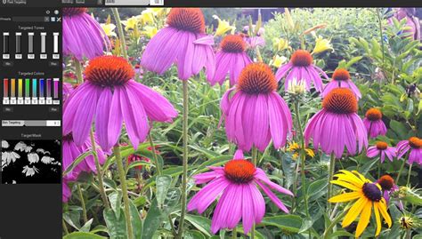 Image result for ACDSee Pro 8 Tutorial