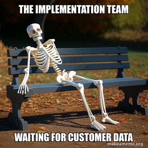 Image result for System Implementation Success Meme