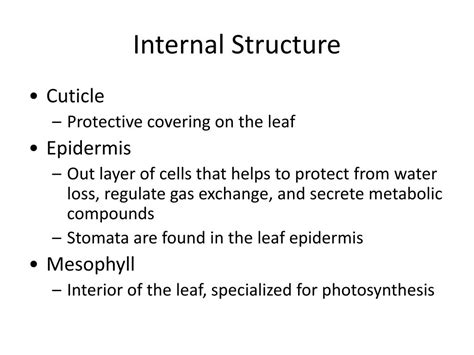 Image result for Root Structure and Function