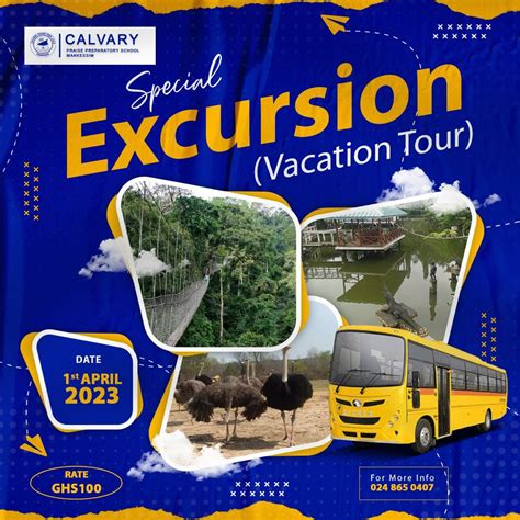 Image result for Excursion Flyer Design