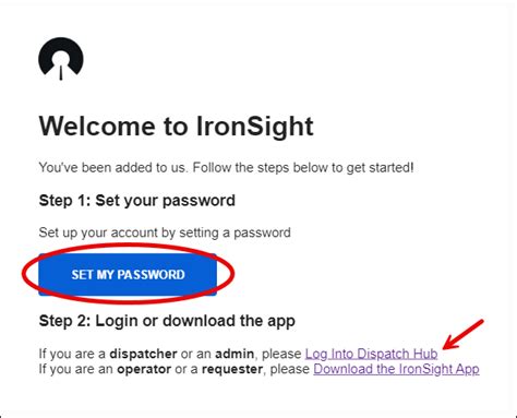 Image result for Iron Sight Netcode