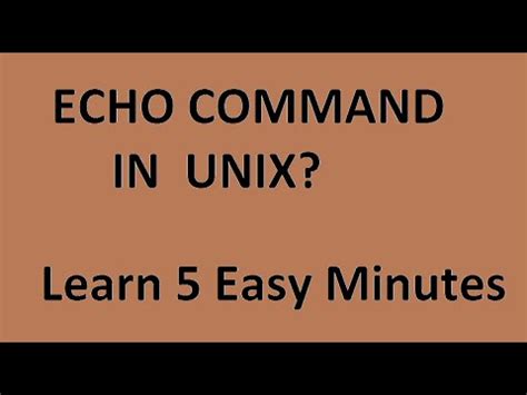 Image result for Echo Unix