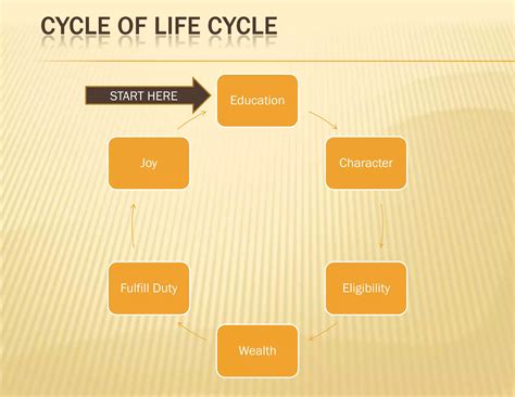 Image result for Example of a Life Cycle