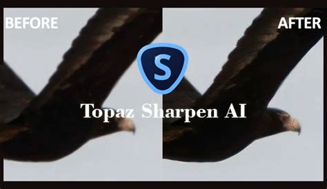 Image result for Topaz Labs Sharpen AI Tutorial