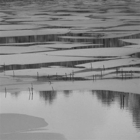 Image result for Minecraft Swamp Block Texture