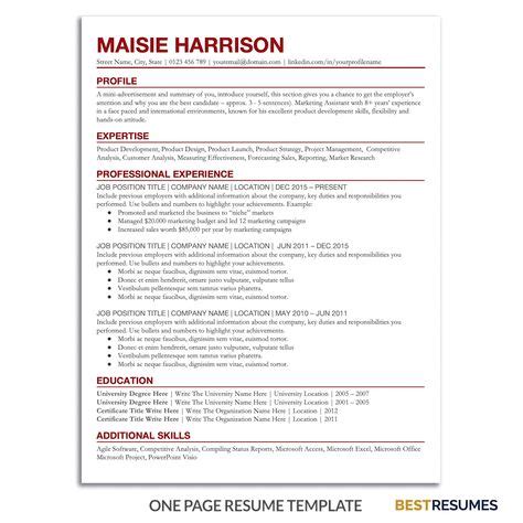 Image result for Job Resume Format Examples