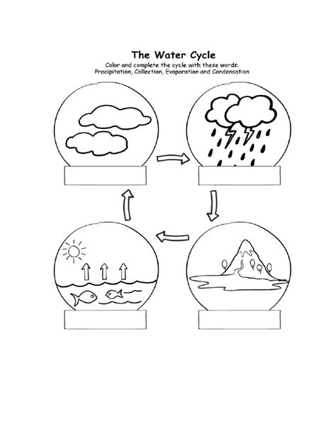The Water Cycle Worksheet | PDF