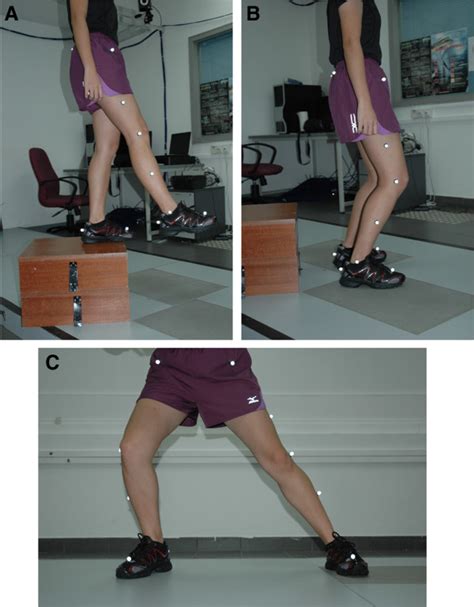 Image result for SL Dynamic Exercises