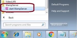 Image result for How to Run Project On WampServer