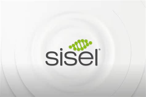 Image result for Sisel Inspiration