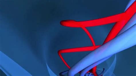 Image result for Heart Pumping Animation